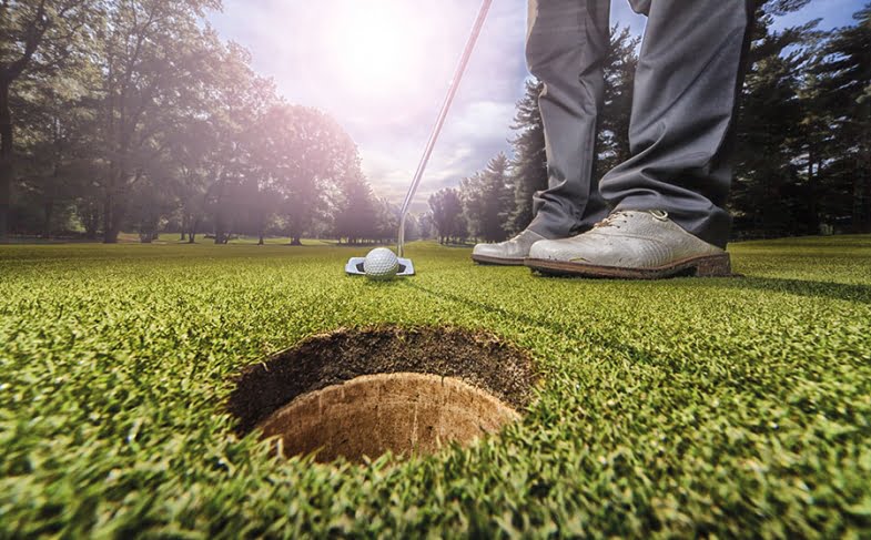 Correct Disease Identification - Northern Golfer