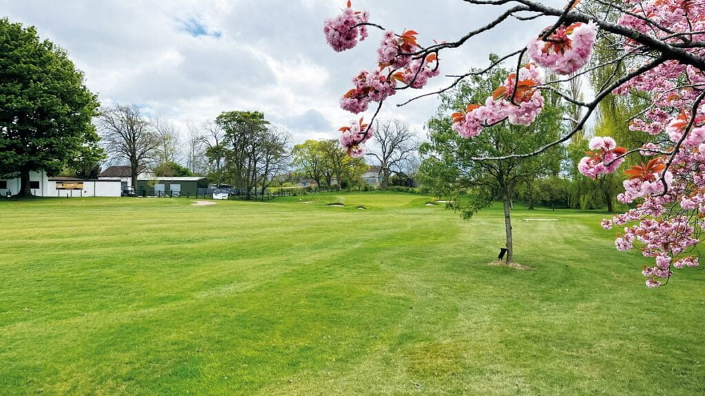 Darlington Golf Club - The good doctor will see you now - Northern Golfer