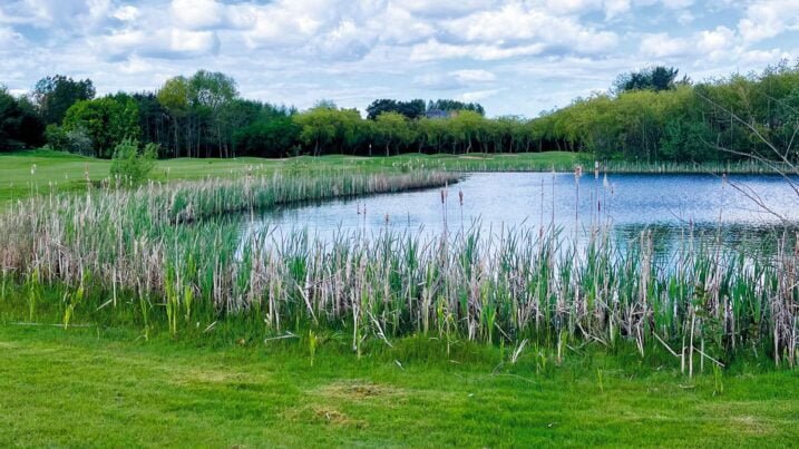 Wynyard Golf Club - Onto a Wynner - Northern Golfer