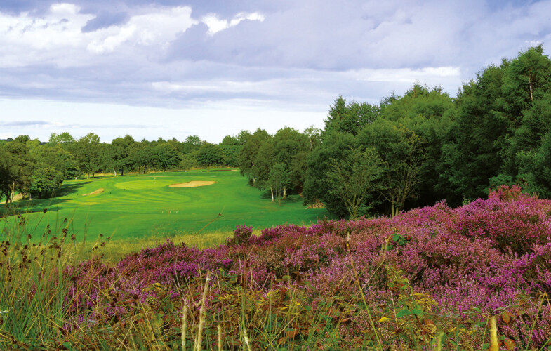 South Moor Golf Club - A northern powerhouse - Northern Golfer